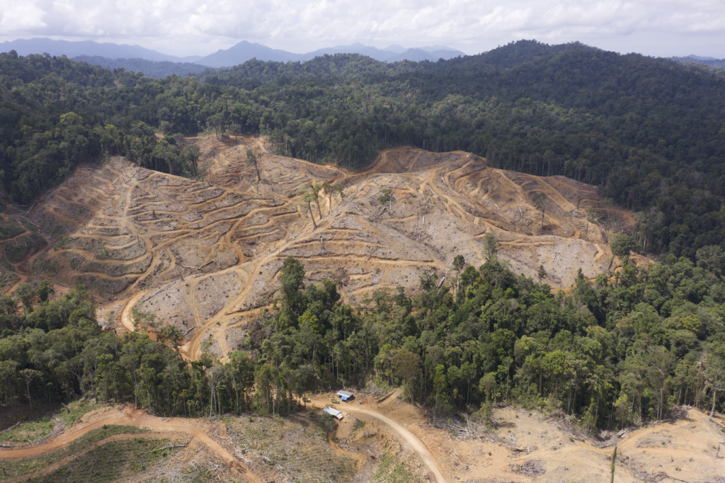 Press Release - Countries' reliance on bioenergy to reduce carbon ...
